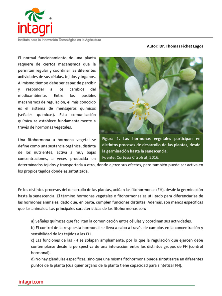 Fitohormonas y Modos de Accion de Los Reguladores de Crecimiento | PDF ...
