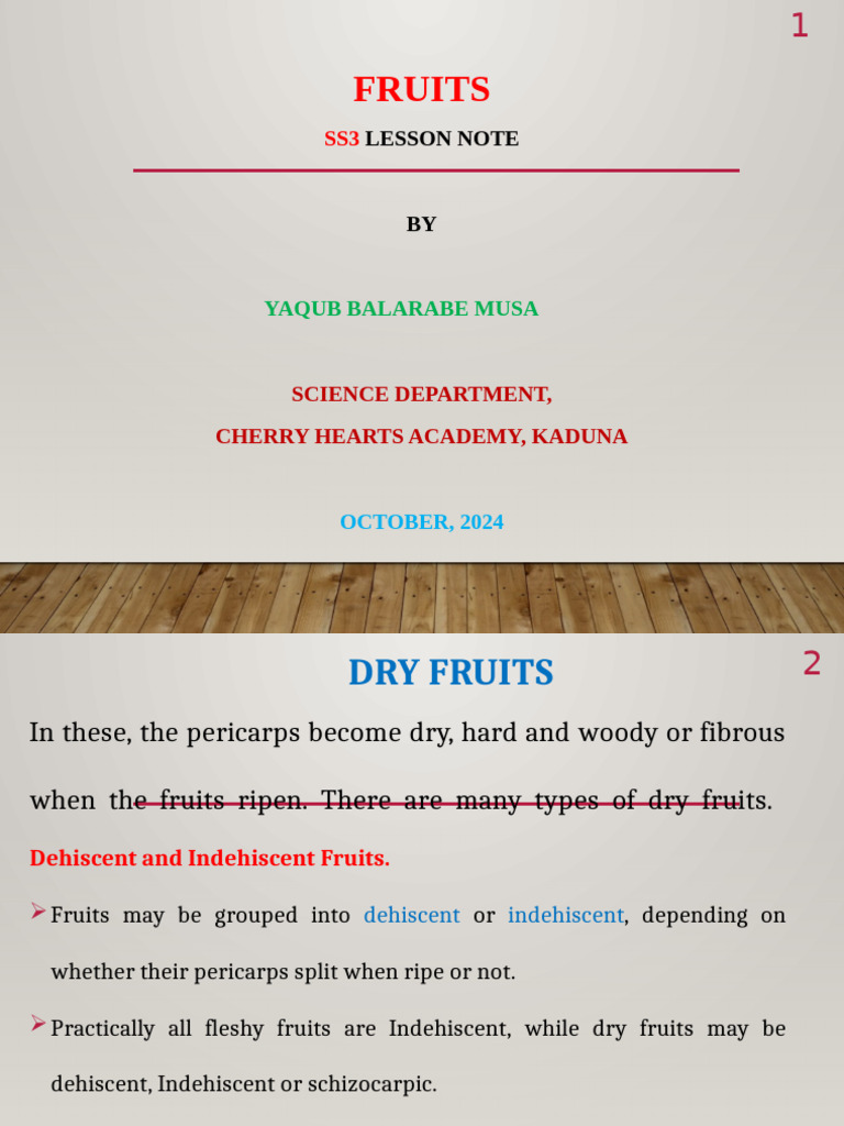 Fruit & Fruits Classification | PDF | Fruit | Plant Reproduction