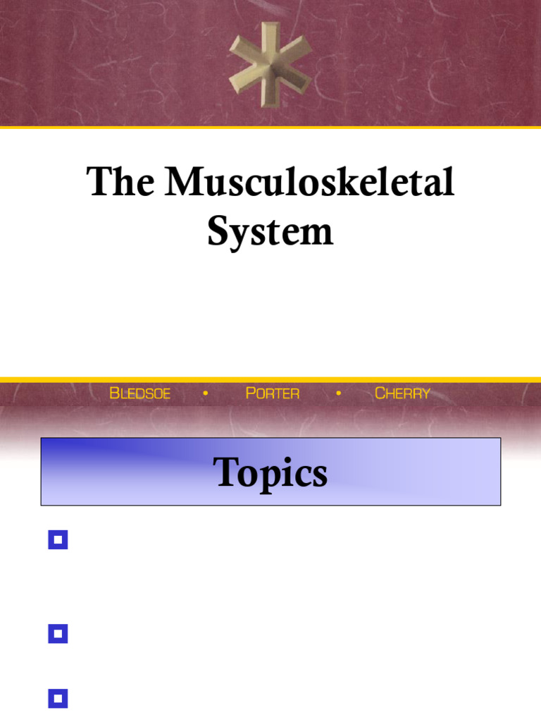 Musculoskeletal System Examination Guide | PDF | Anatomical Terms Of ...