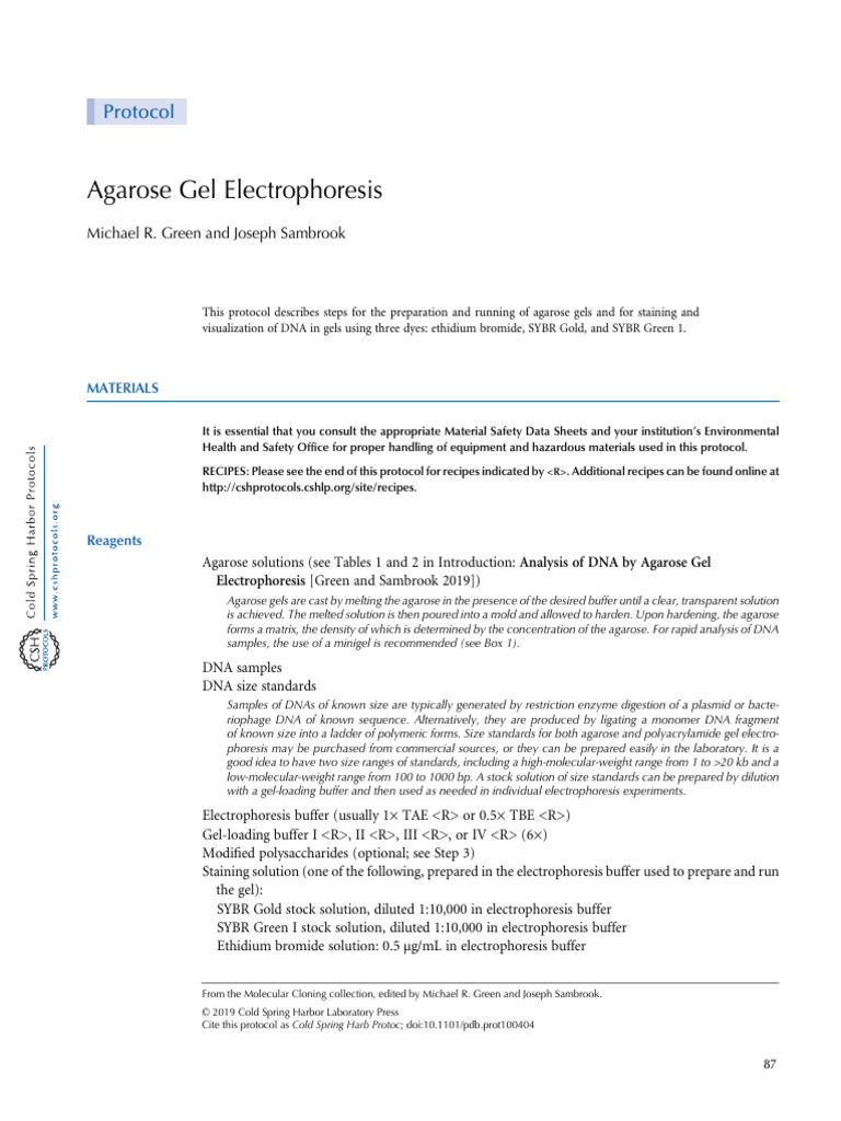 Agarose Gel Electrophoresis | PDF | Agarose Gel Electrophoresis | Gel Electrophoresis