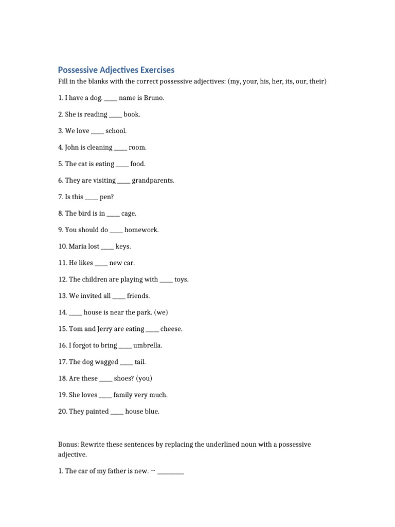 Possessive Adjective Practice Exercises | PDF