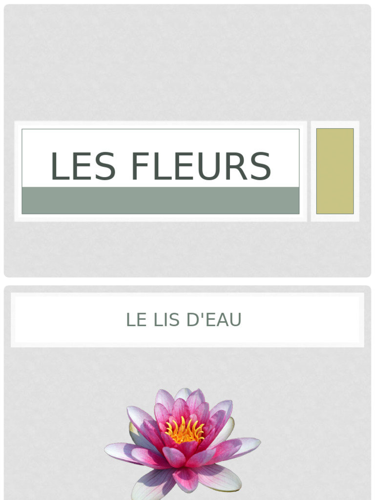 Les Types Des Fleurs en Francais | PDF