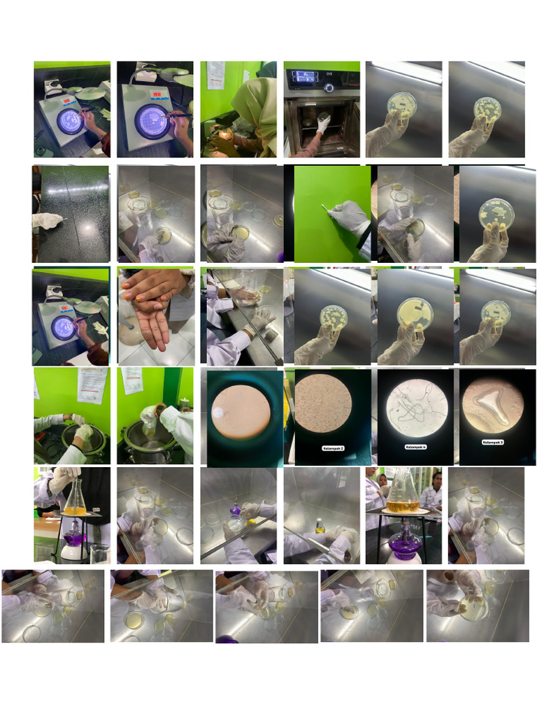 Fto Laprak Aseptis-1 | PDF