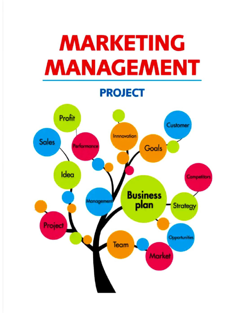 BST Project Class 12 On Marketing | PDF
