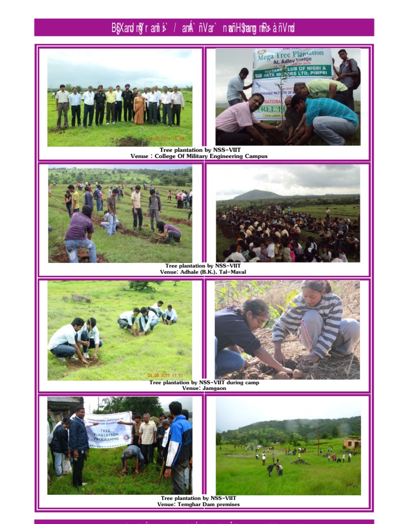 Tree Plantation | PDF