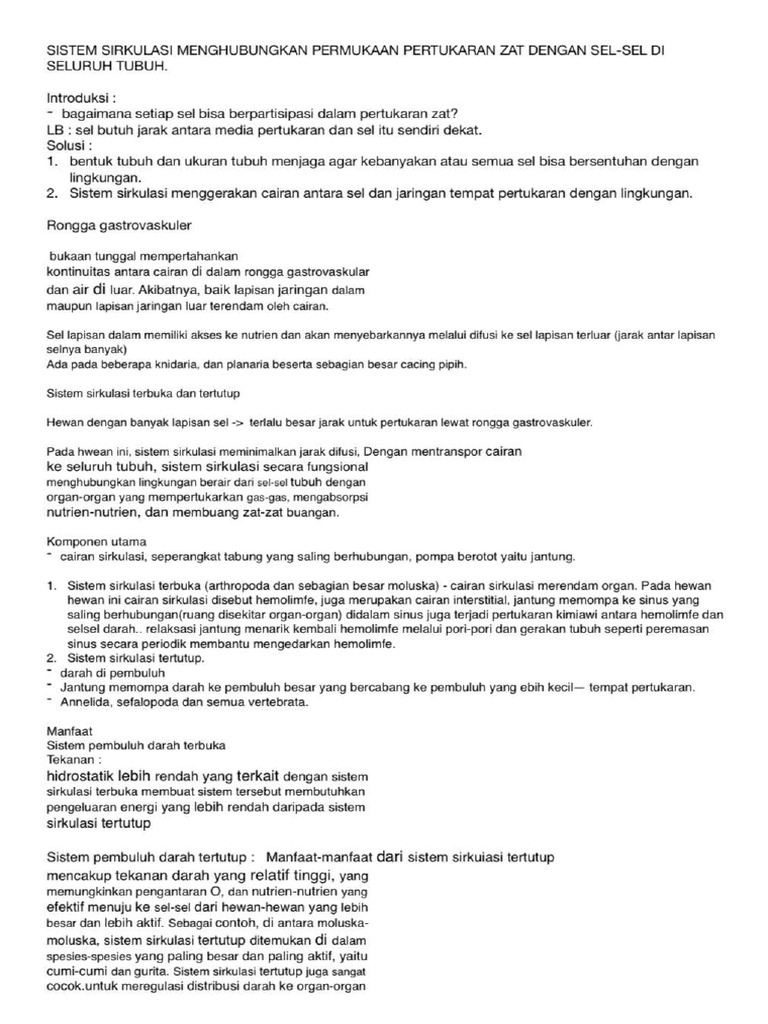 Sirkulasi | PDF