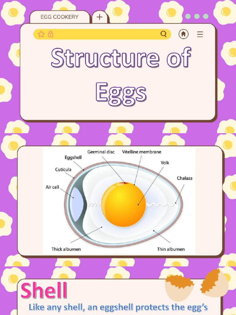 TLE 10 Lesson 3 Physical Structure and Composition of The Egg ...