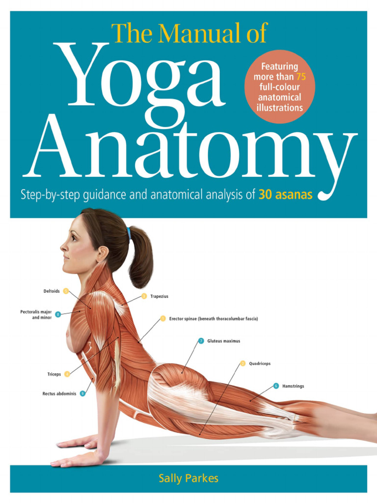 Yoga Anatomy: Guide to 30 Asanas | PDF | Asana | Breathing