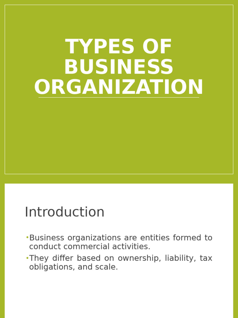 Business Organization Types Explained | PDF | Partnership | Business