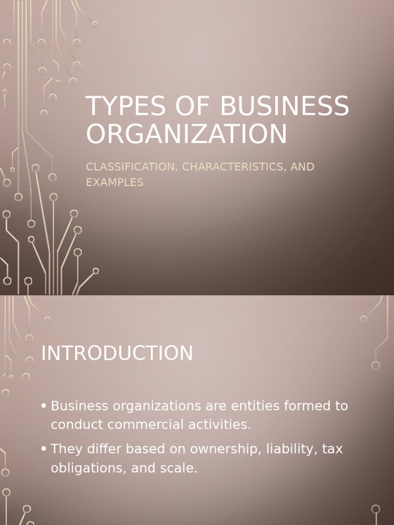 Types of Business Organization | PDF