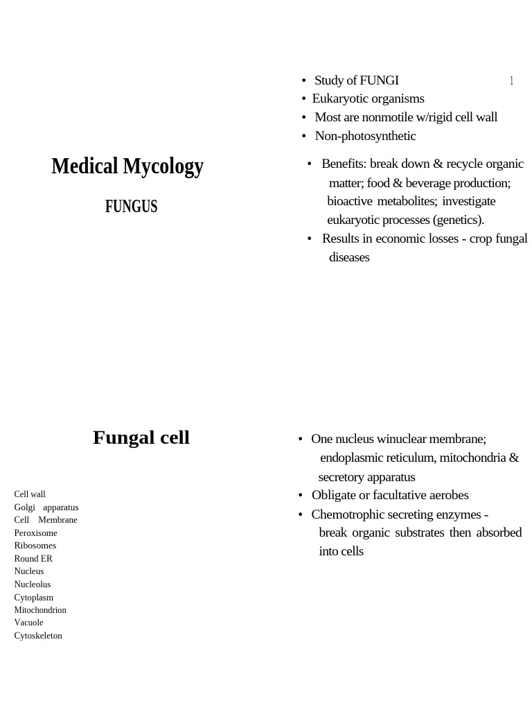 The Dog and The Duck | PDF | Candidiasis | Fungus