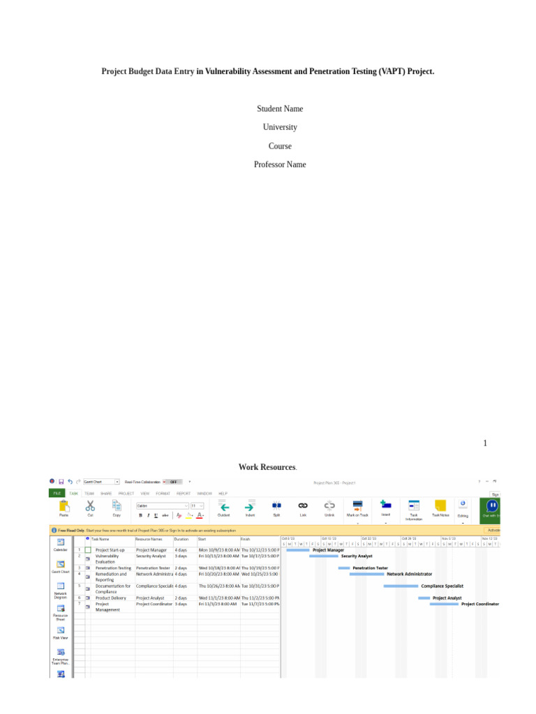 Project Budget Data Entry in Vulnerability Assessment and Penetration ...