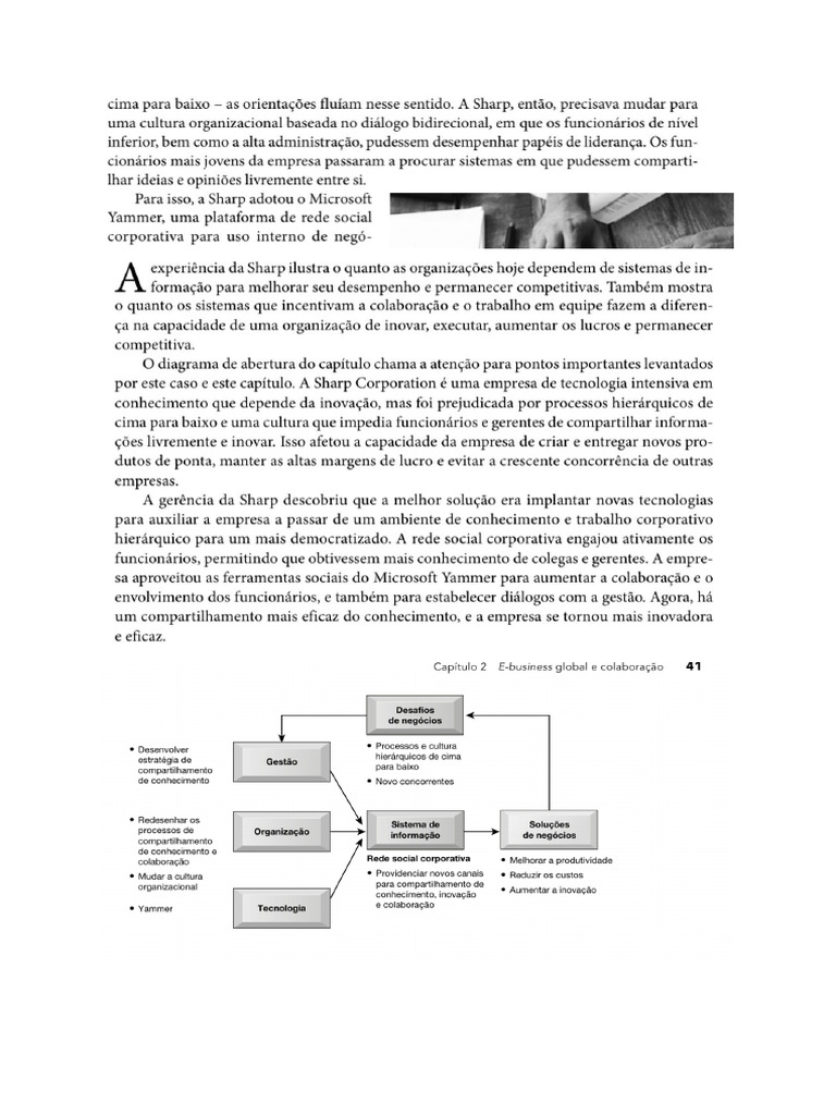 Cap2 Laudon e Laudon | PDF