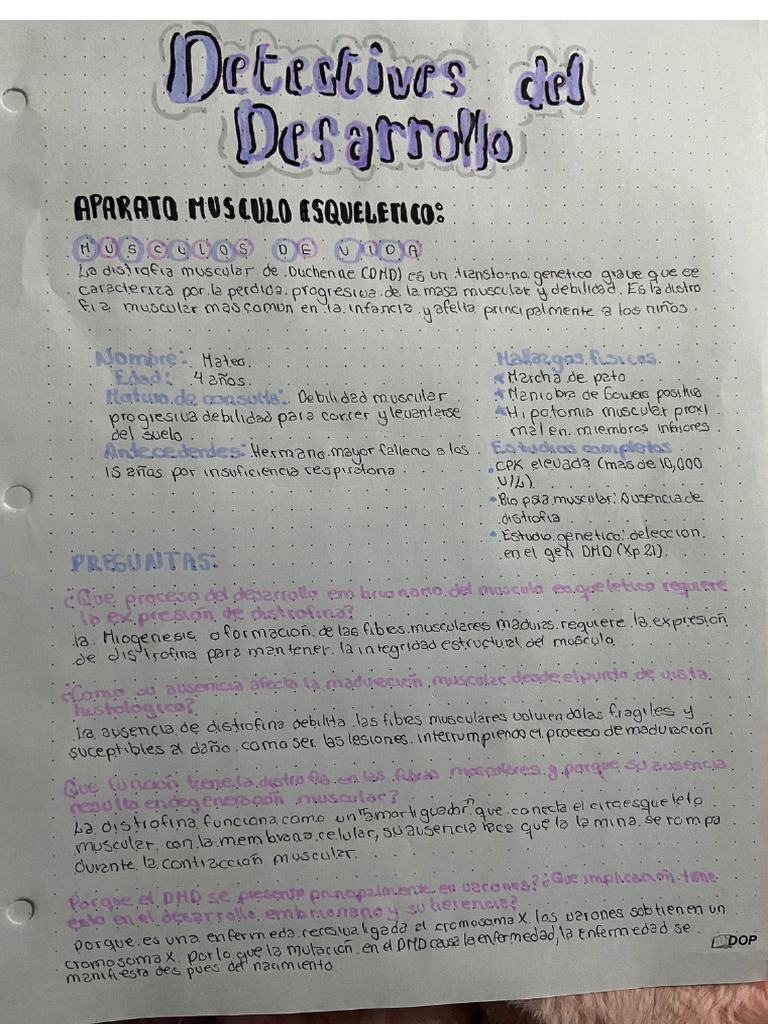 Musculo Esqueletico Pdf Pdf