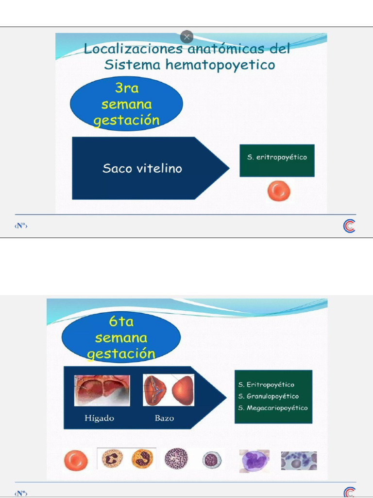 Hematop s4N | PDF