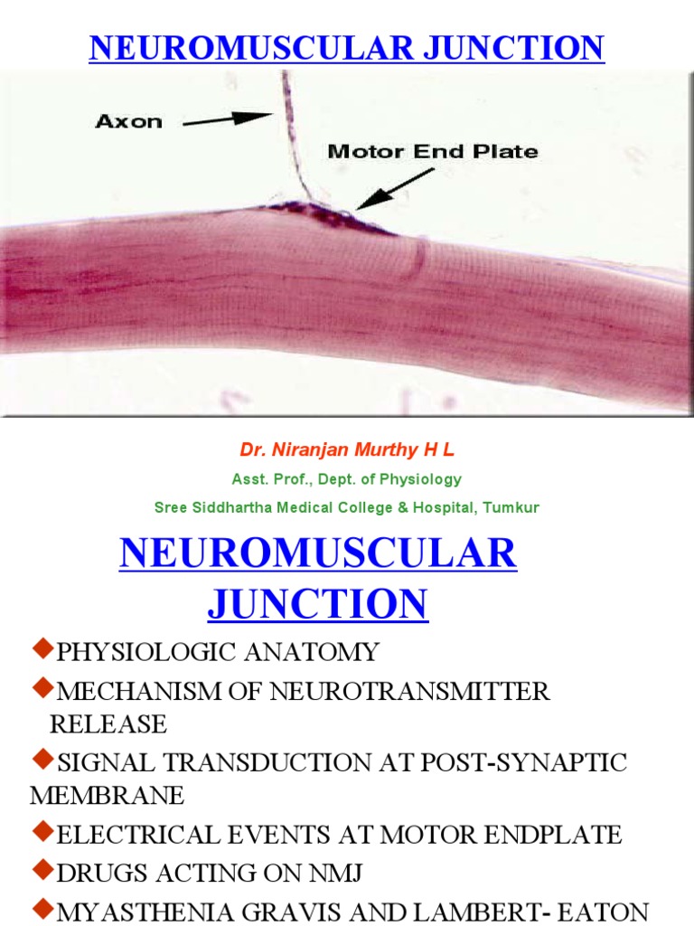 The Neuromuscular Junction Flow Chart Neuromuscular Emergencies