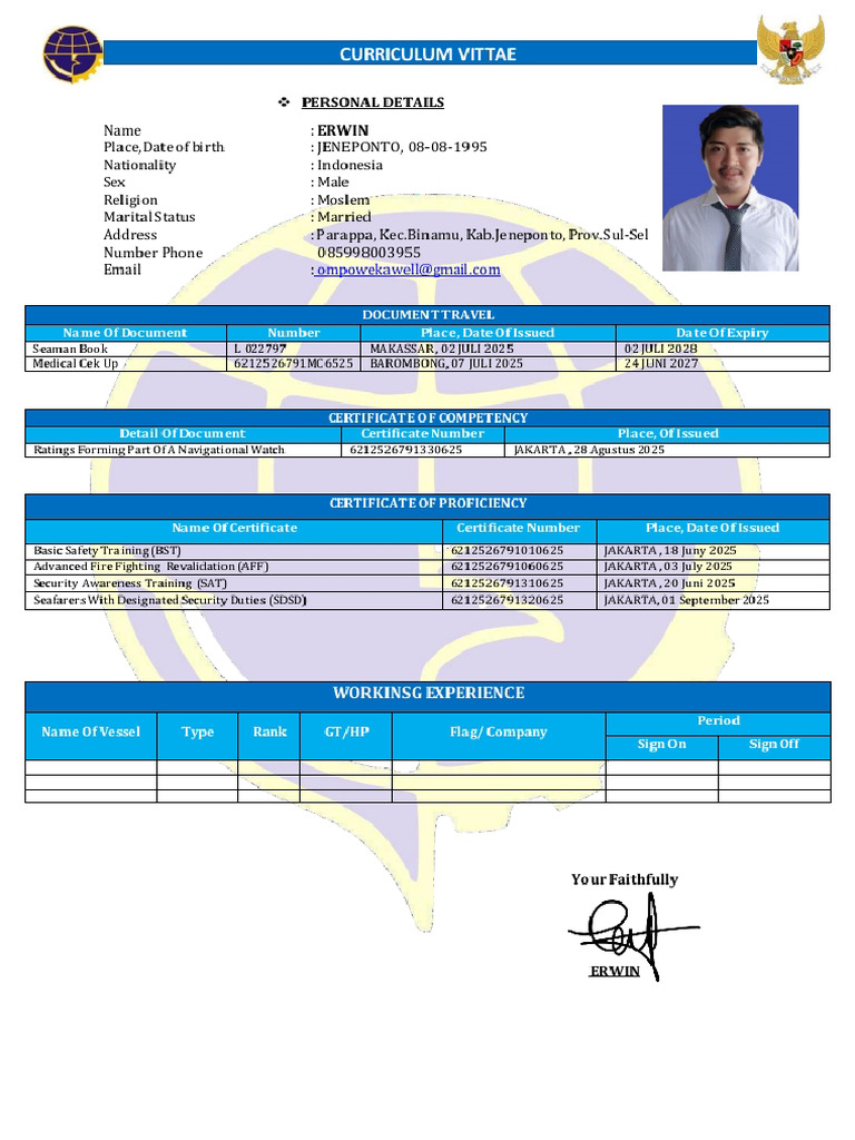 CV Erwin PDF | PDF