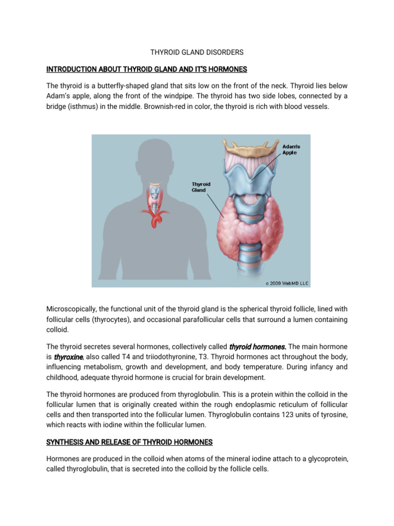 The Thyroid Disorders..IntroWPS Office | PDF | Thyroid | Glands