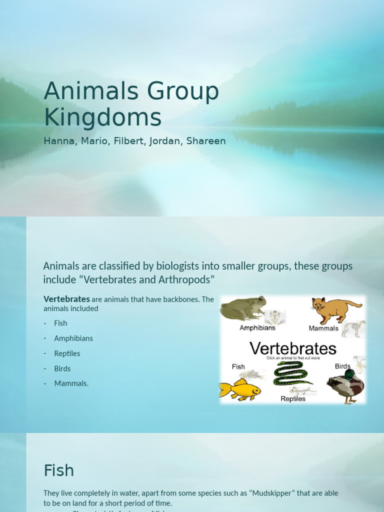 Animal Groups Kingdoms BIology | PDF | Amphibian | Vertebrates