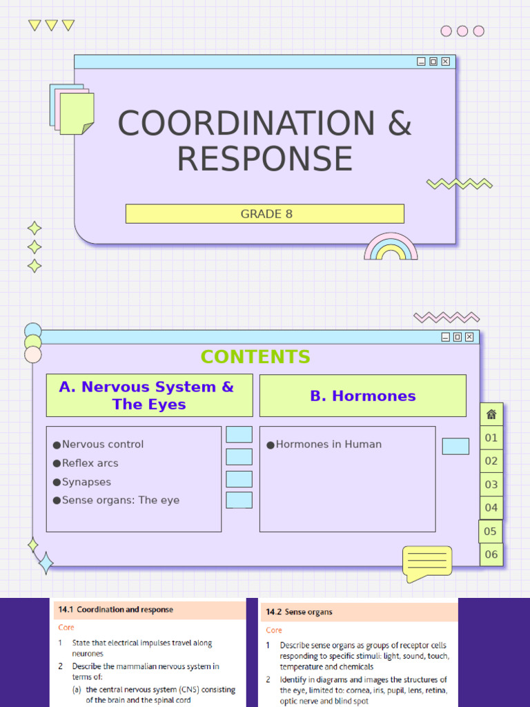 Chapter Coordination and Response | PDF | Nervous System | Neuron