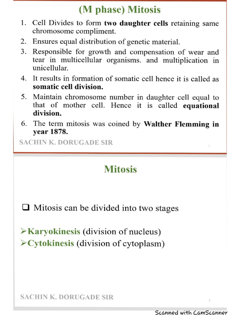 Cell Division 2 | PDF