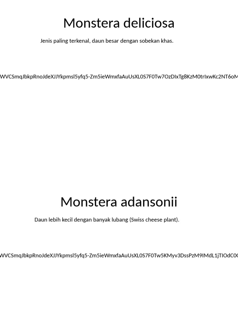Jenis Monstera | PDF