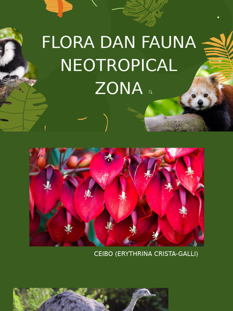 Flora Dan Fauna Zona Neotropical | PDF