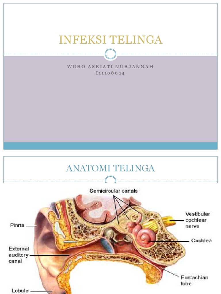 Gejala dan Penanganan Otitis Media | PDF