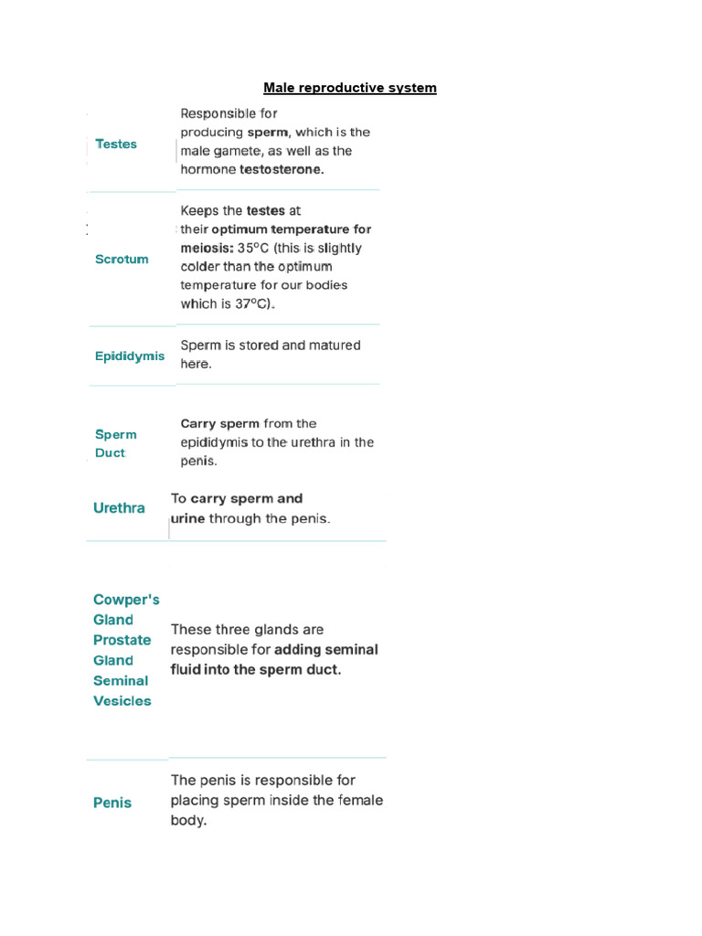 Notes On Male and Female Reproductive Parts | PDF