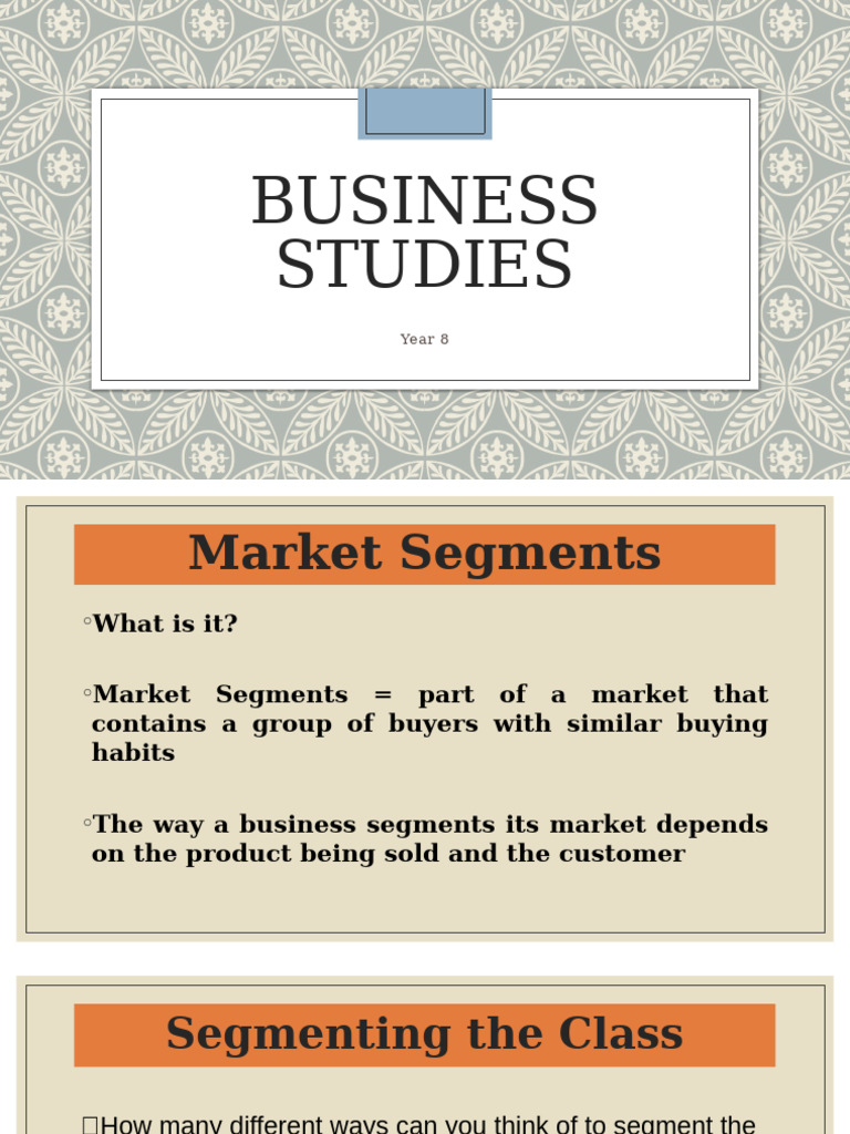 Business Studies Segmentation | PDF