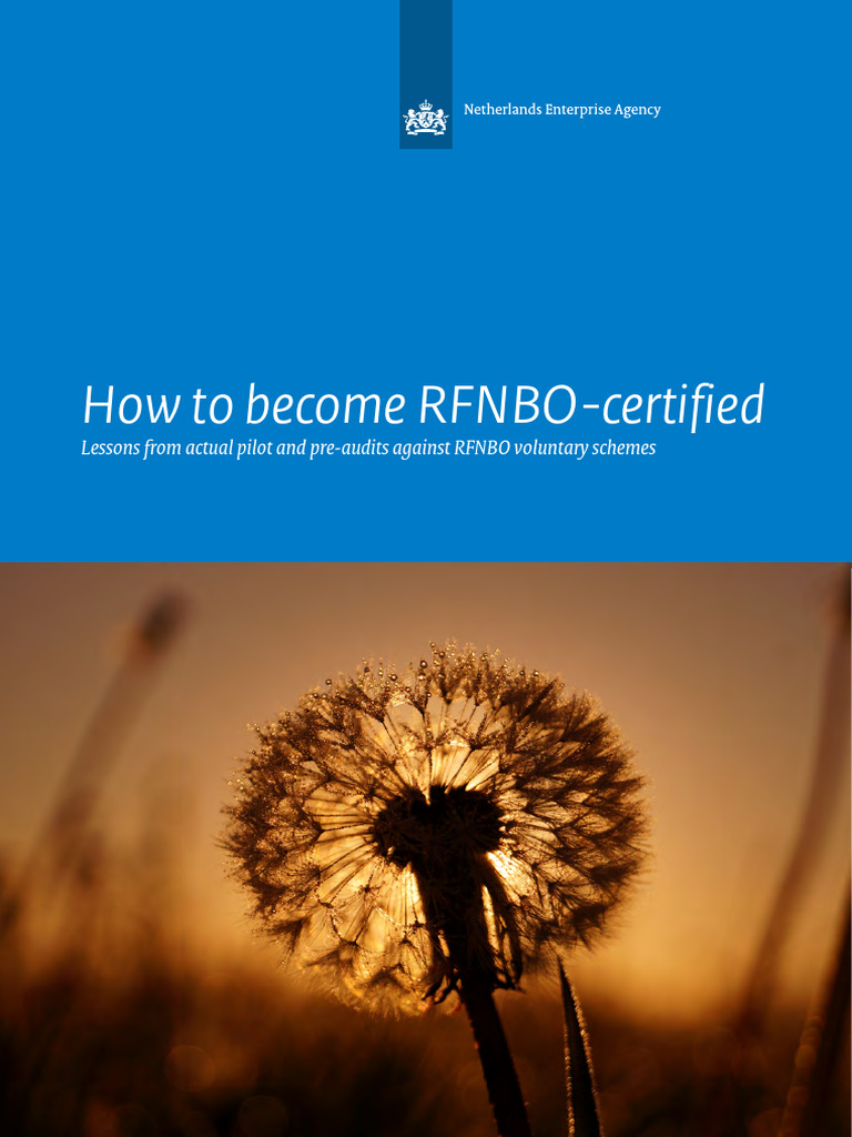 Report How To Become RFNBO Certified | PDF | Renewable Energy | Low ...