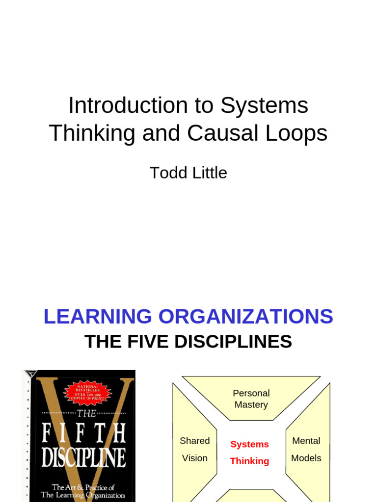 Introduction To Systems Thinking and Causal Loops | PDF