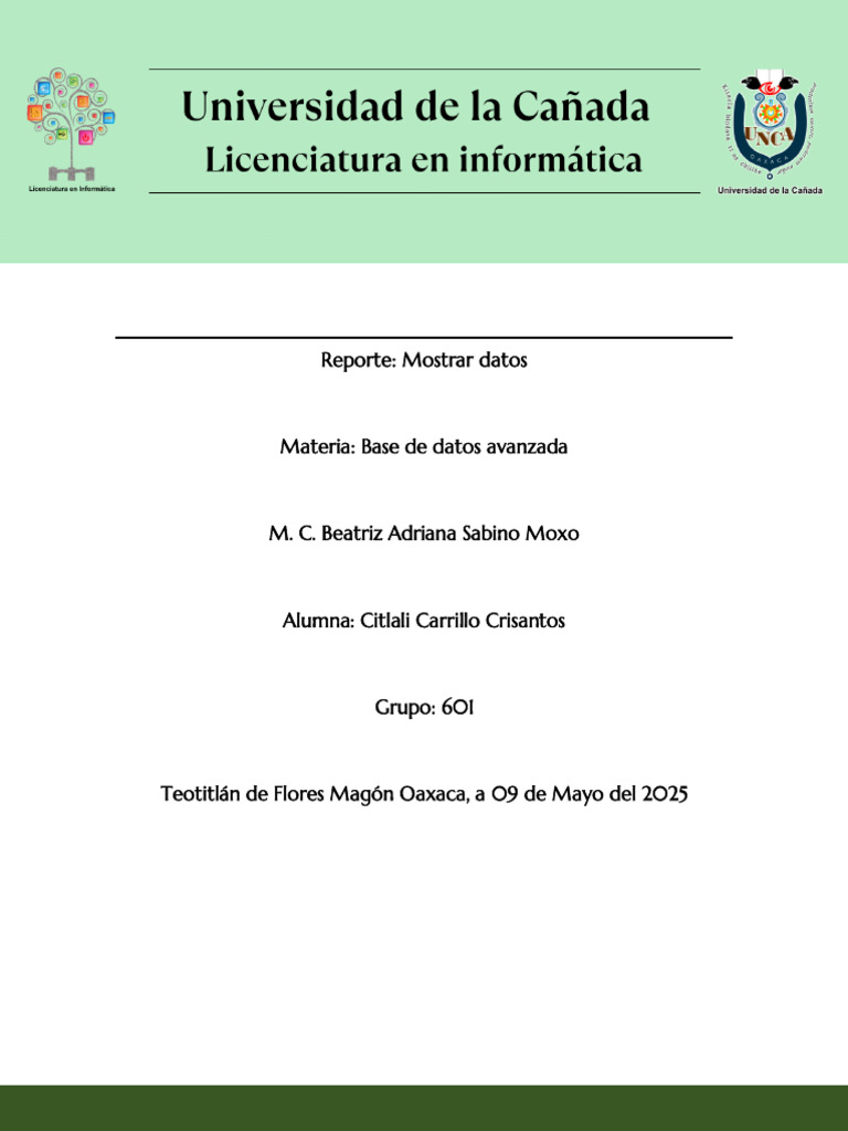 Reporte 1 | PDF | Recuperación de información | Bases de datos