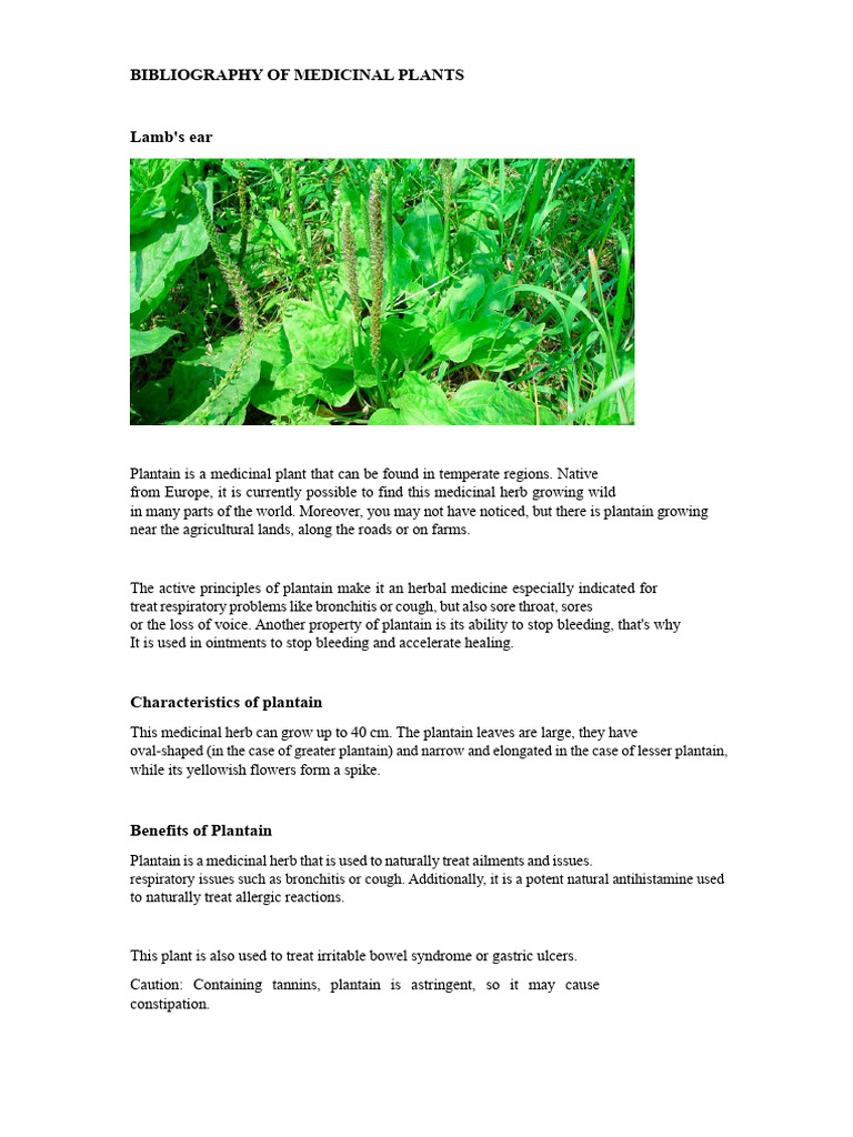 Bibliography of Medicinal Plants | PDF | Plants | Botany