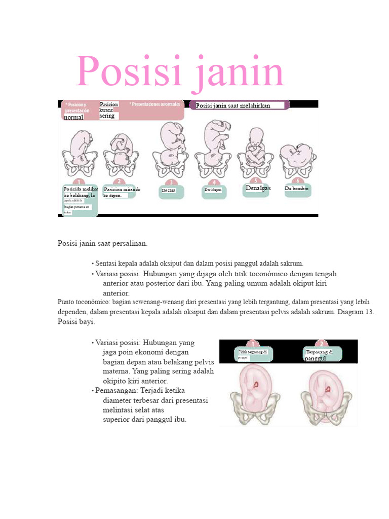 Posisi Janin dan Manuver Persalinan | PDF