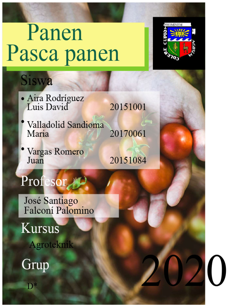 Panen Dan Pasca Panen-Laporan | PDF