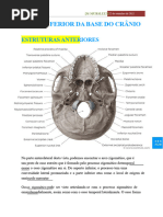 Anatomia da Base do Crânio | PDF | Anatomia humana | Cabeça e pescoço ...