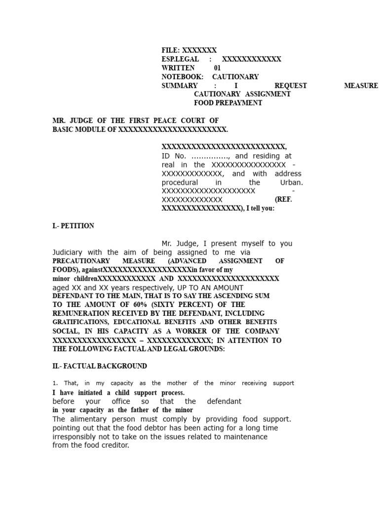 Child Support Precautionary Measure Request | PDF | Common Law | Public Law