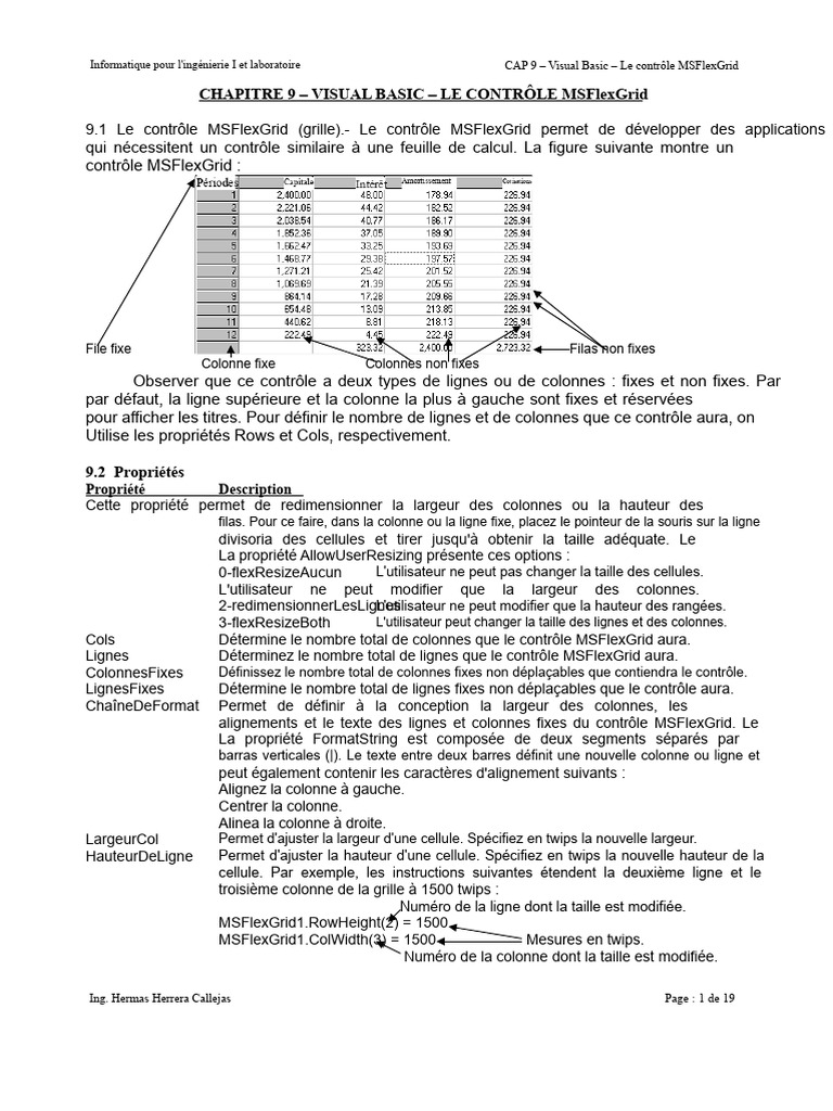 Contrôle MSFlexGrid en Visual Basic | PDF | Bouton (informatique ...