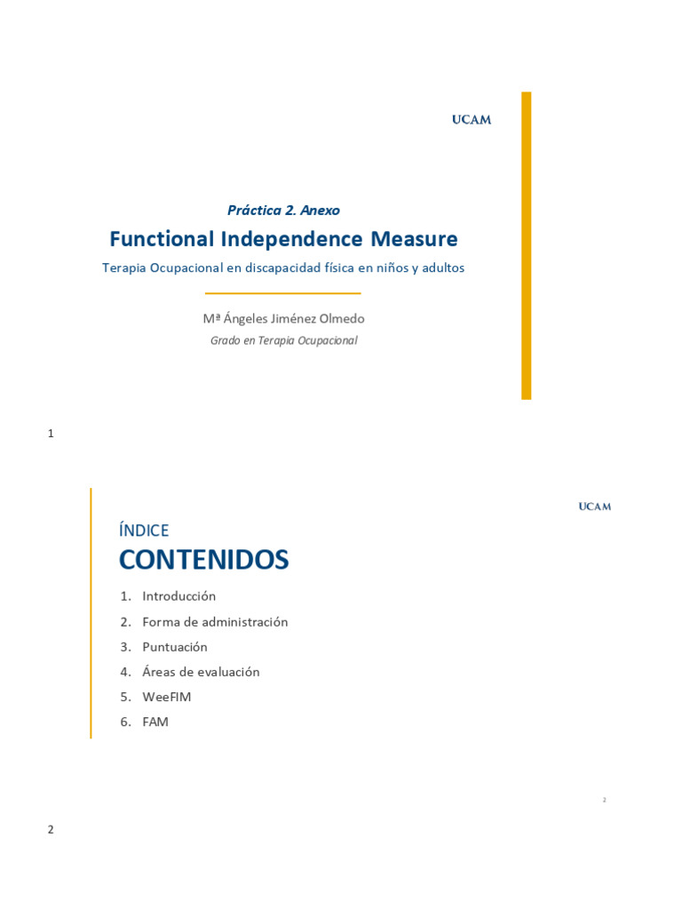 CP2. Anexo Fim | PDF | Terapia ocupacional | Enfermedades y trastornos humanos