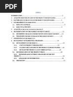 Calmsun Marketing Campaign Strategy | PDF | Marketing | Brand