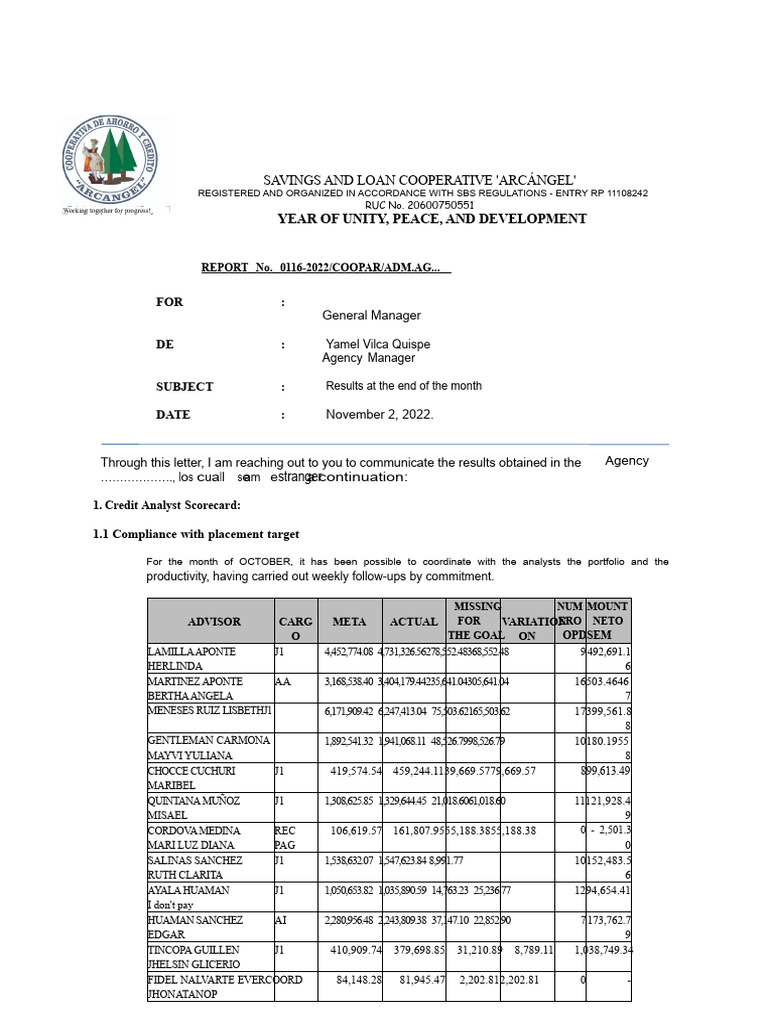 Administrator Report Model | PDF | Business Economics | Private Sector