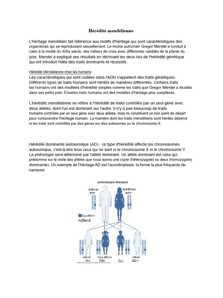 Hérédité Mendélienne et ses Lois | PDF | Dominance (Génétique) | Hérédité