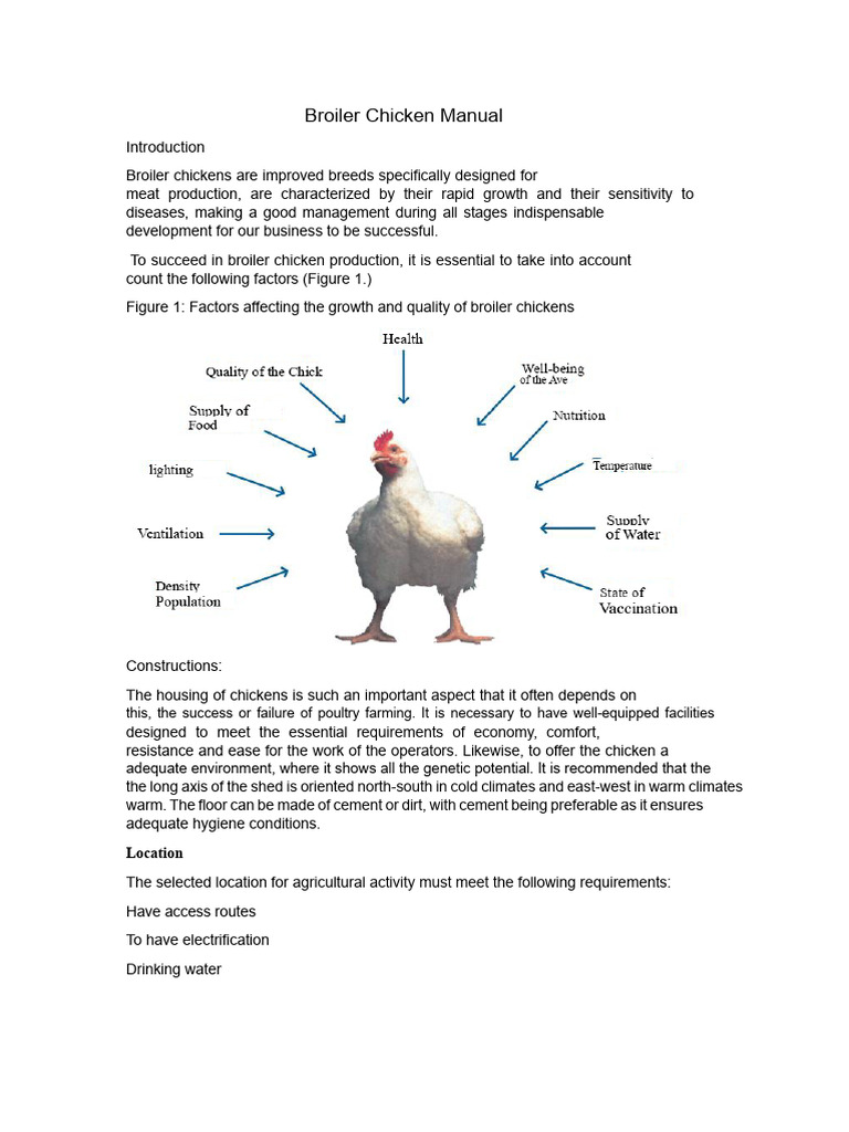 Broiler Chickens Manual | PDF | Poultry Farming | Water