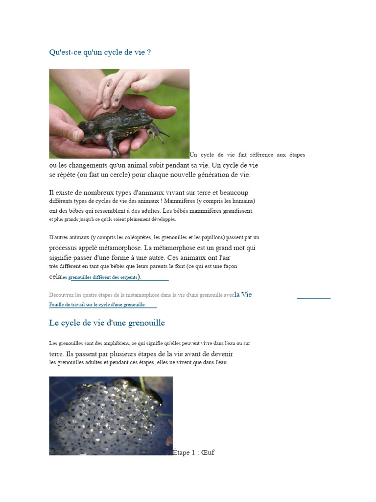 Cycle de vie de la grenouille | PDF | Amphibiens | Grenouille
