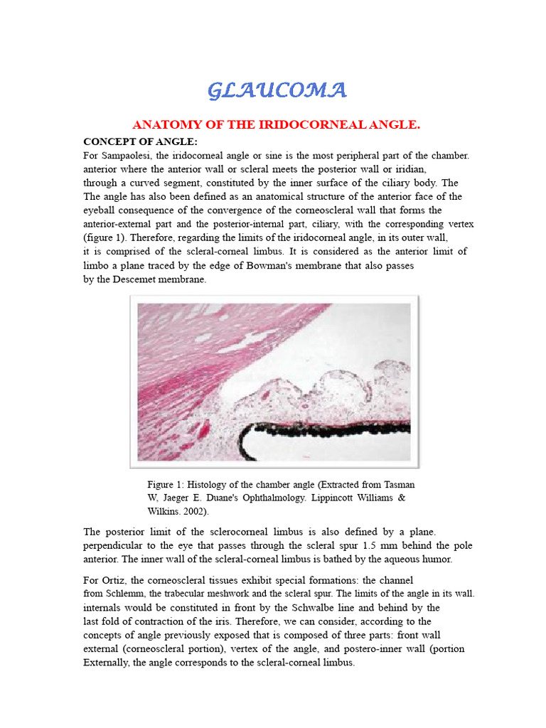 Glaucoma | PDF | Glaucoma | Cornea
