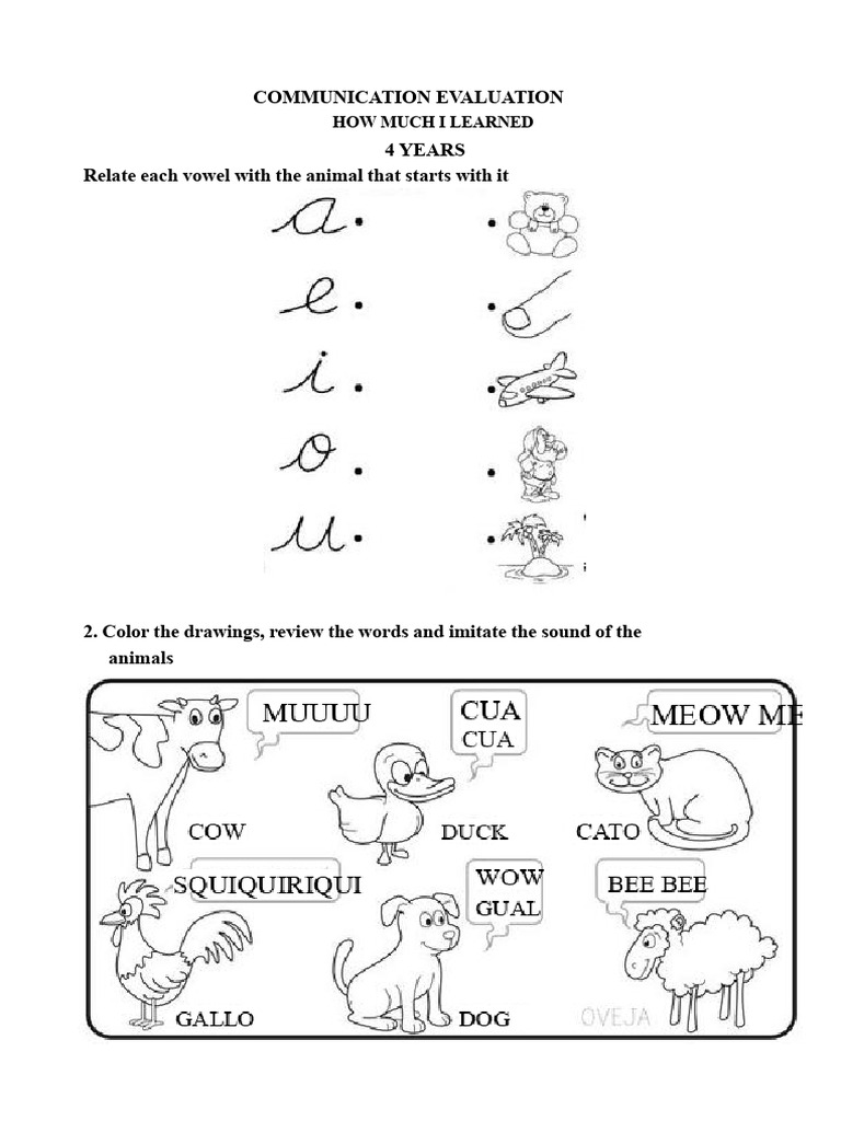 Communication Evaluation | PDF