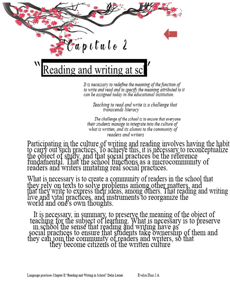 Summary Chapter 2 "Teaching To Read and Write in School" Delia Lerner | PDF | Literacy | Knowledge