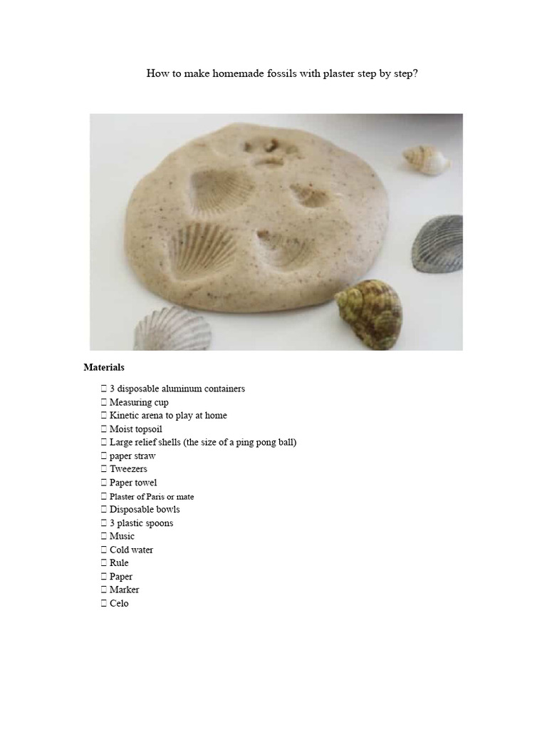 How To Make Homemade Fossils With Plaster Step by Step | PDF
