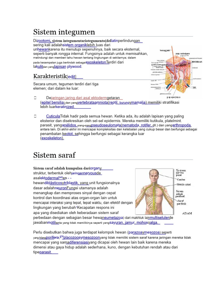 11 Sistem Tubuh Manusia | PDF